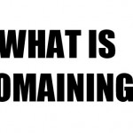 What is Domaining?